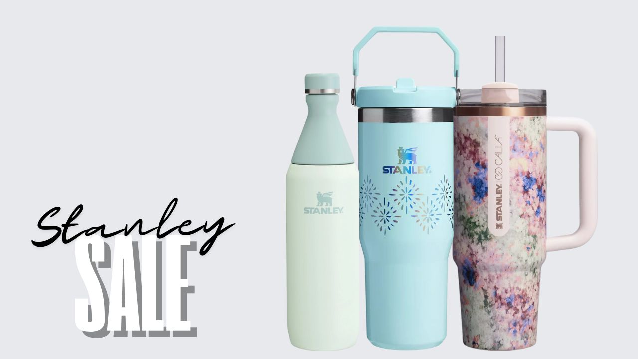 Stanley Tumbler Sale at Dick's Sporting Goods! :: Southern Savers