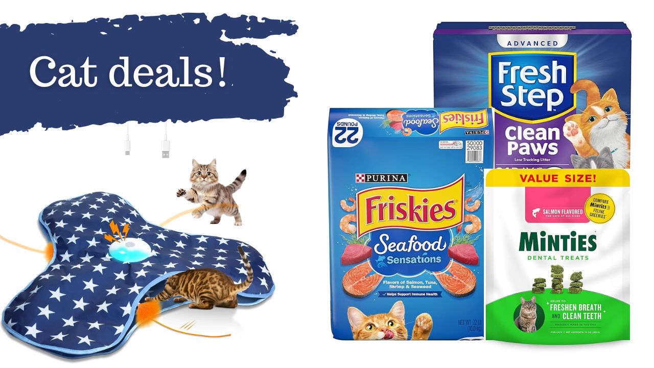 Amazon Cat Deals | Food, Litter and Toys :: Southern Savers