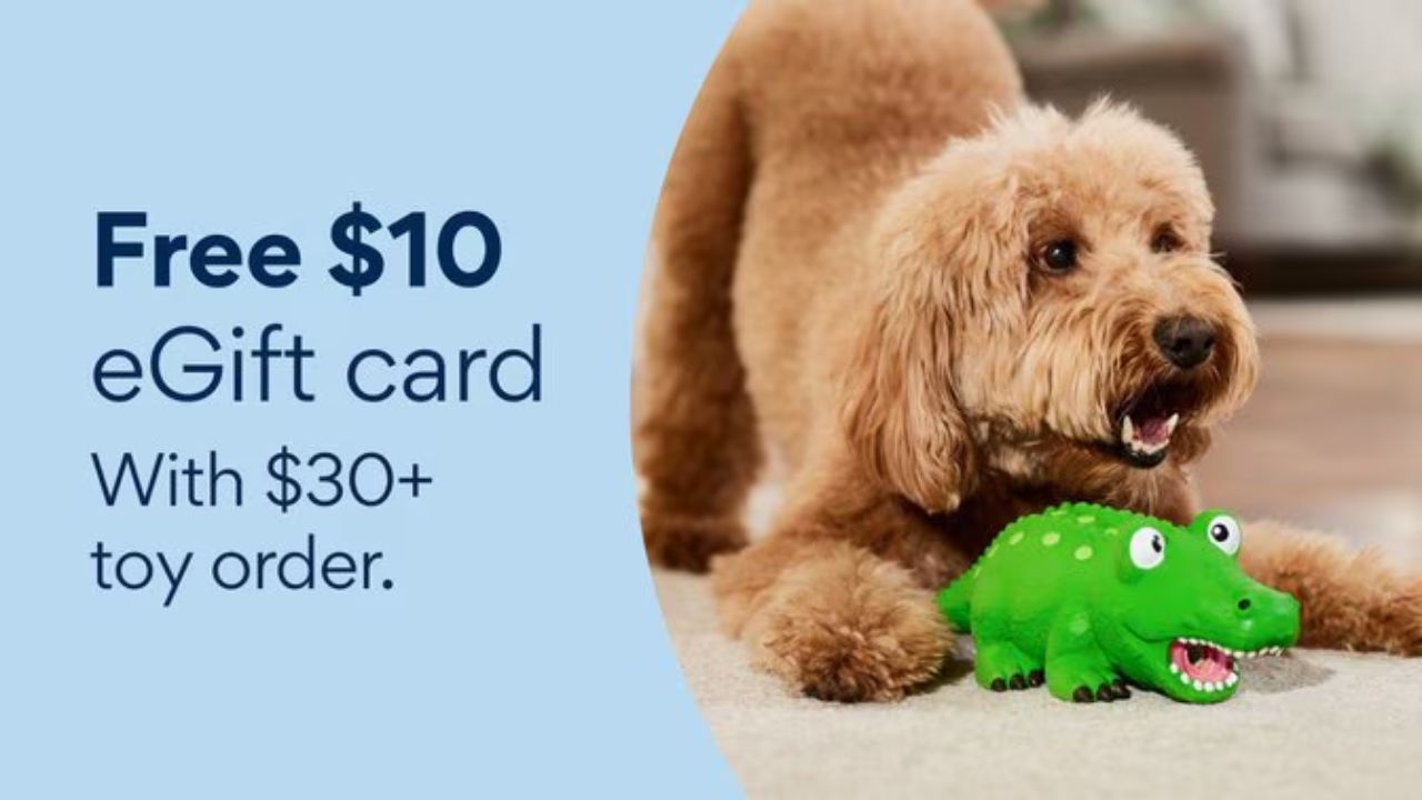 Chewy Dog Deals | Free $10 eGift Card With $30+ Toy Order :: Southern ...