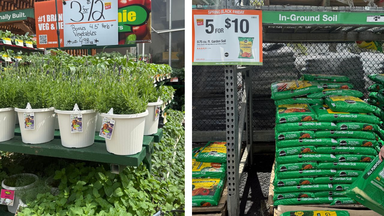 Home Depot Spring Black Friday Sale | Top Deals to Grab! :: Southern Savers