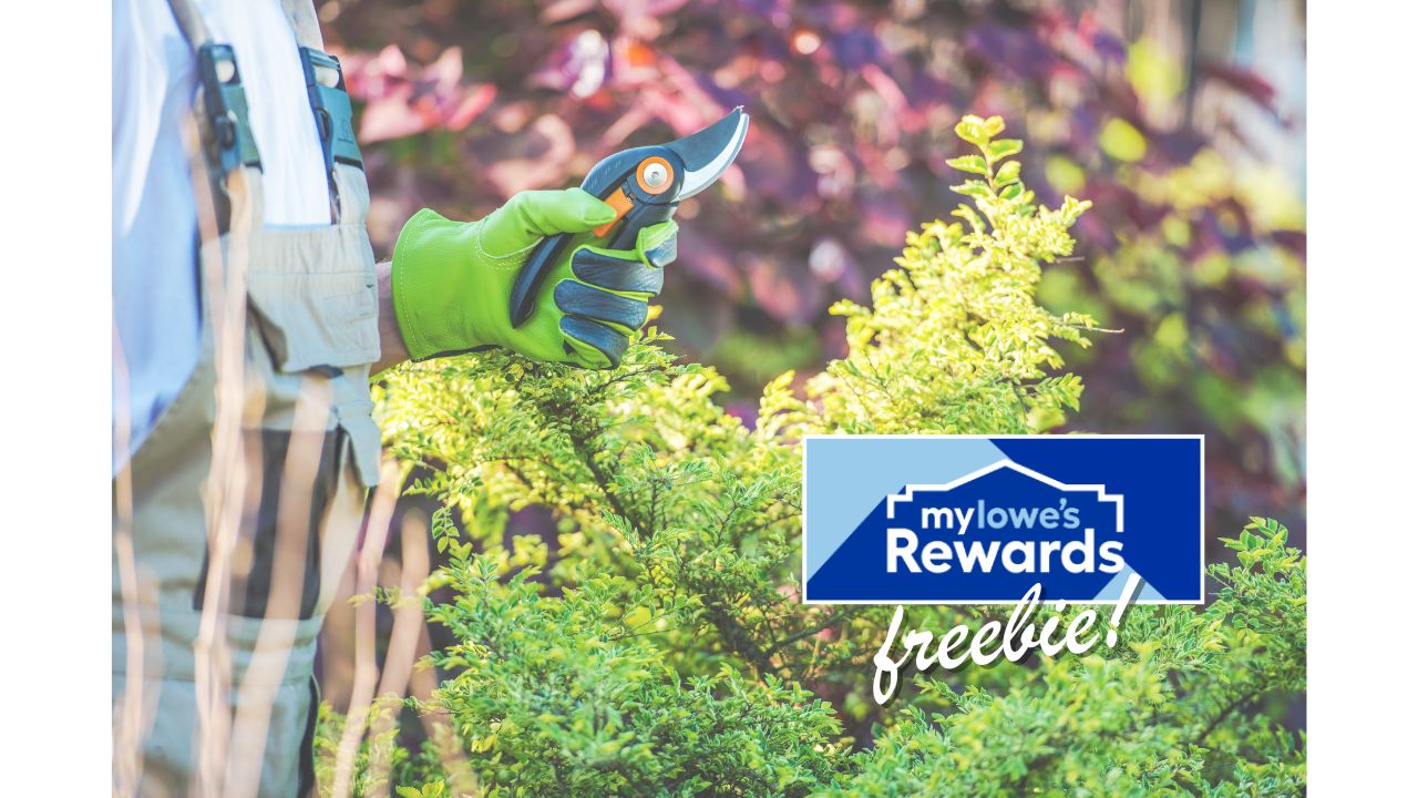 Southern Savers | Page 2 of 8722 Deals, Weekly Ads & Printable Coupons ...