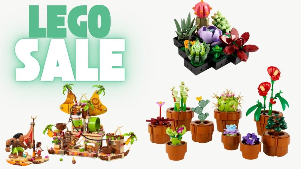 Amazon LEGO Deals | Disney, Wicked, Floral & More! :: Southern Savers