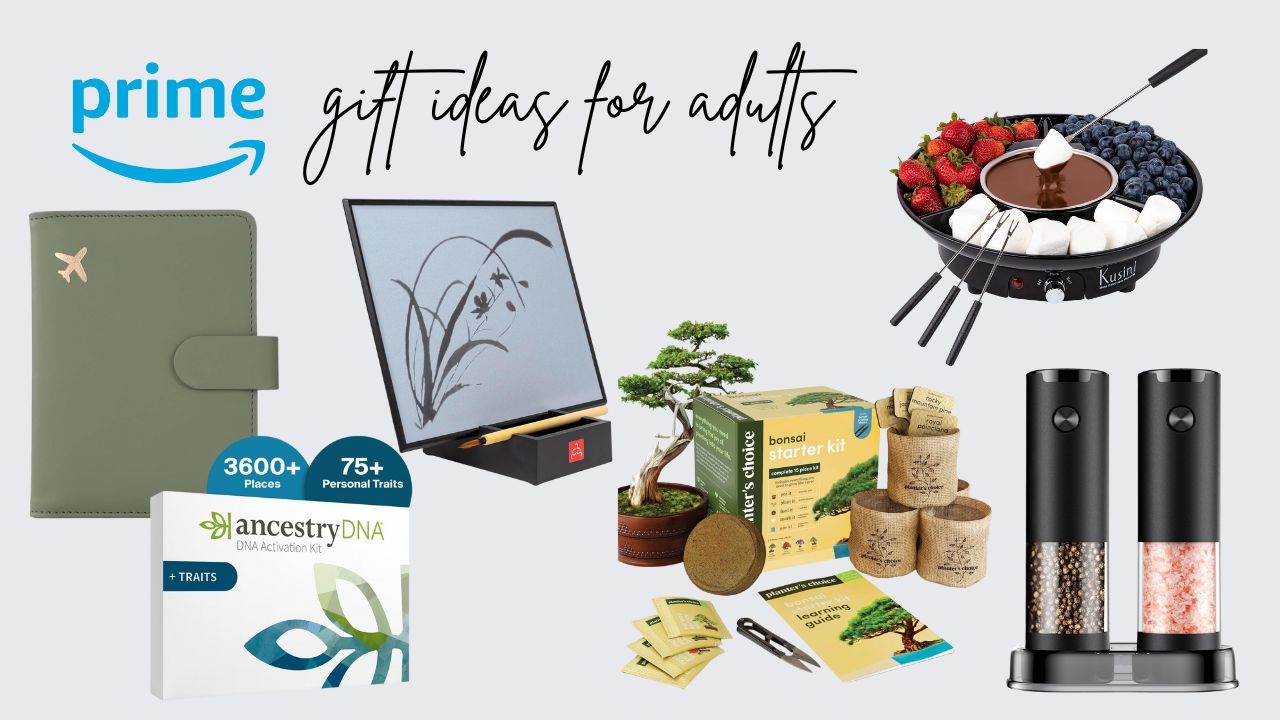 Prime Day Gift Ideas for Every Adult on Your List! :: Southern Savers