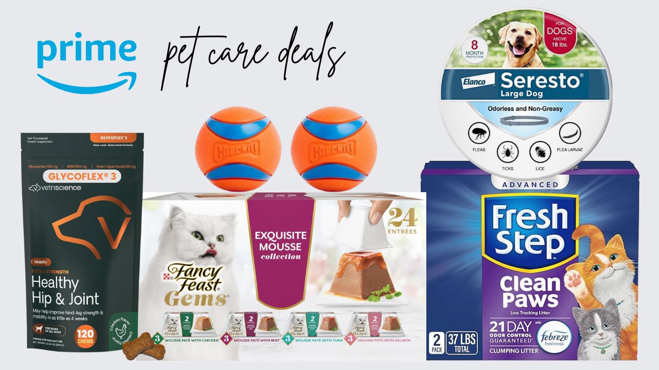 Prime Day Pet Care Deals | Food, Litter, Toys & Treats! :: Southern Savers