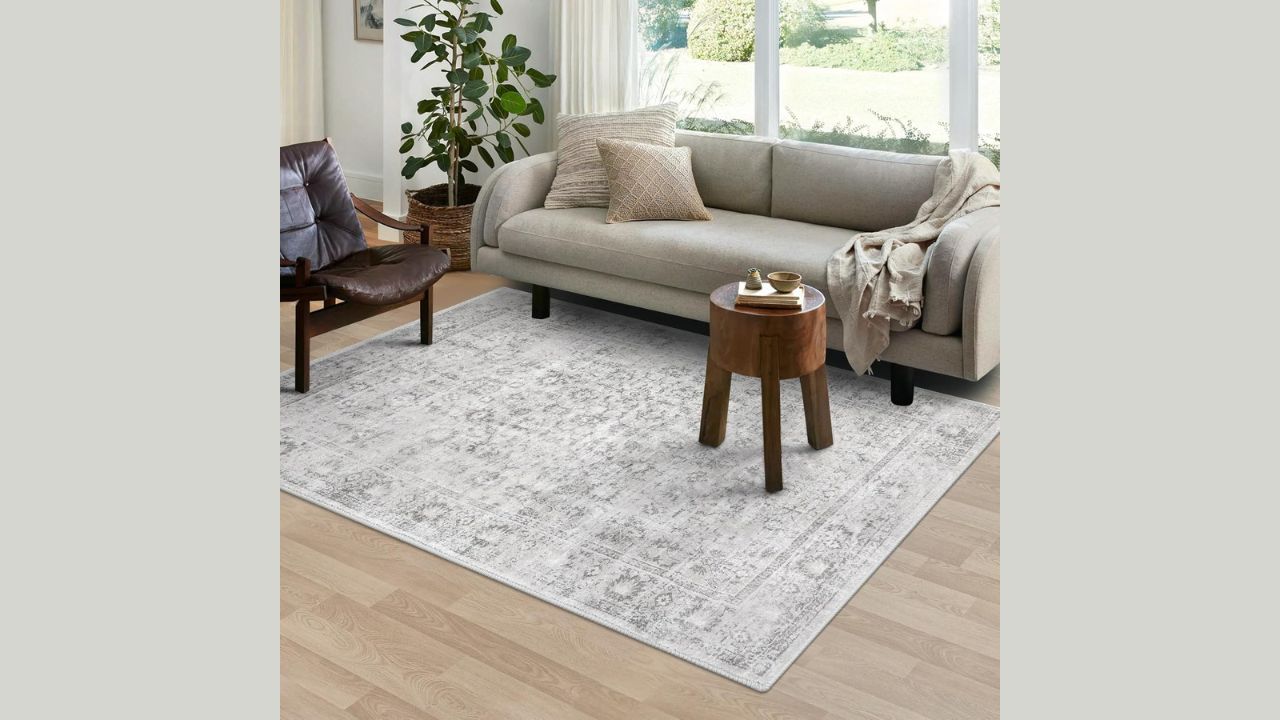 50% Off 4x6 Washable Area Rug on Amazon :: Southern Savers