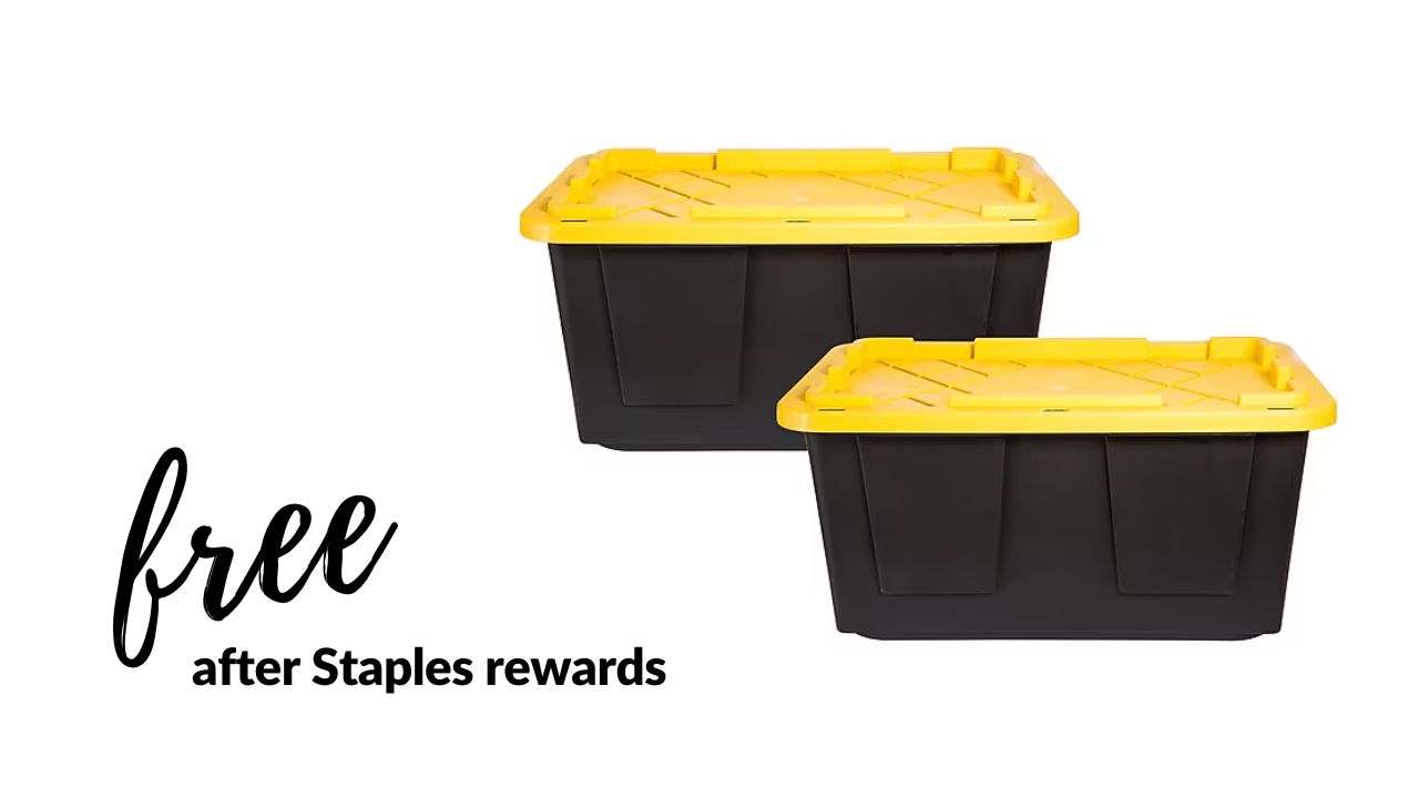 Staples | Up to $40 in FREE Storage Items After 100% Rewards Back | In ...