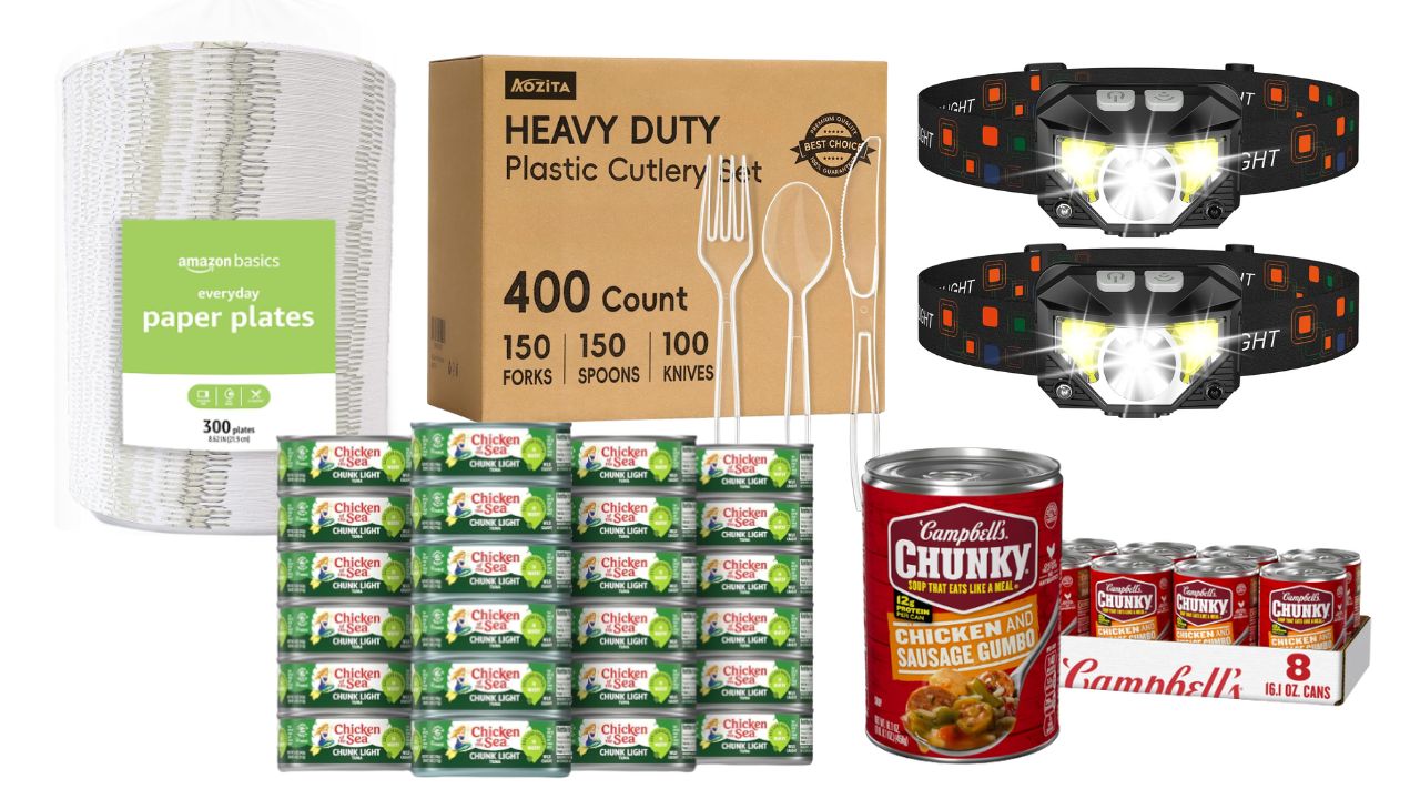 10 Items to Have on Hand for a Power Outage :: Southern Savers