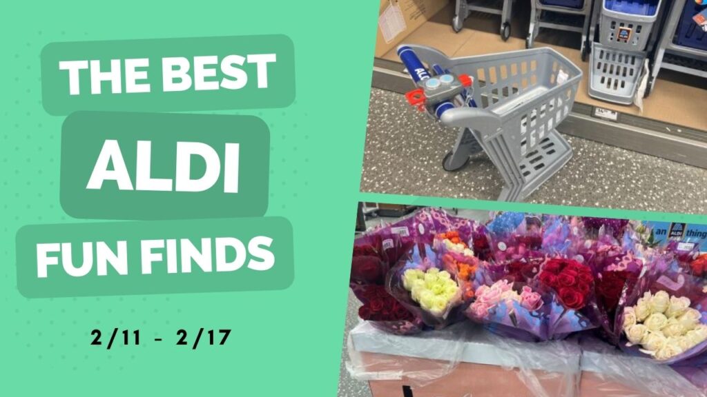 Aldi Fun Finds | Toy Shopping Carts $14.99, Art Kits from $3.99 & More ...