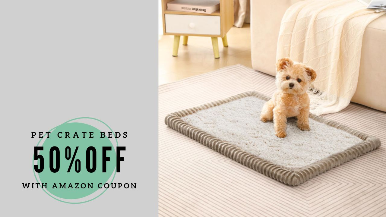 $9.99 Memory Foam Pet Crate Bed with 50% Off Code on Amazon :: Southern ...