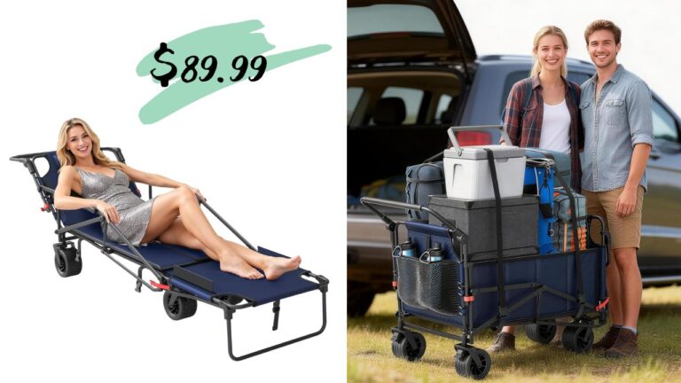 $89.99 2-in-1 Folding Wagon - Turns Into a Beach Chair! :: Southern Savers